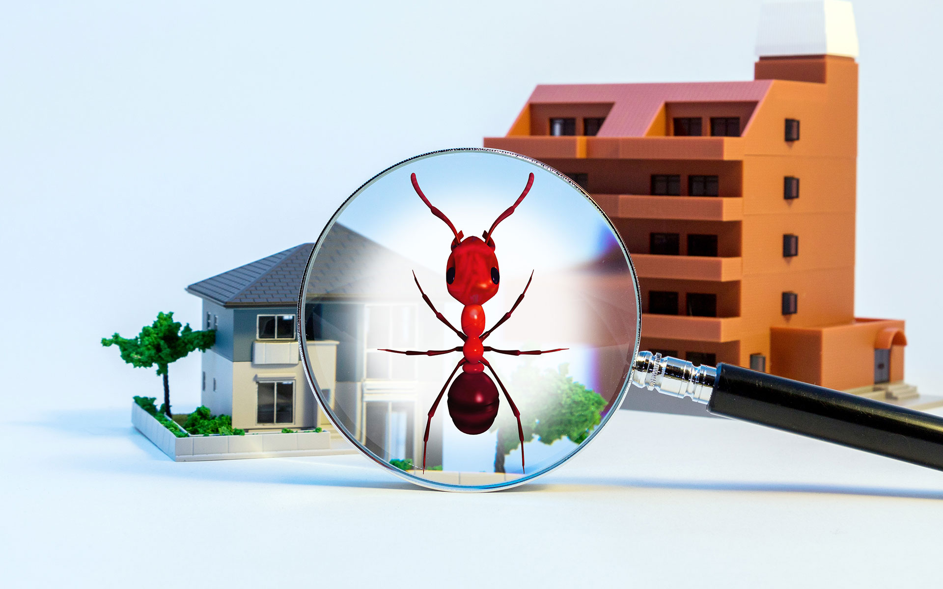 ant-banner – Millette Pest Control